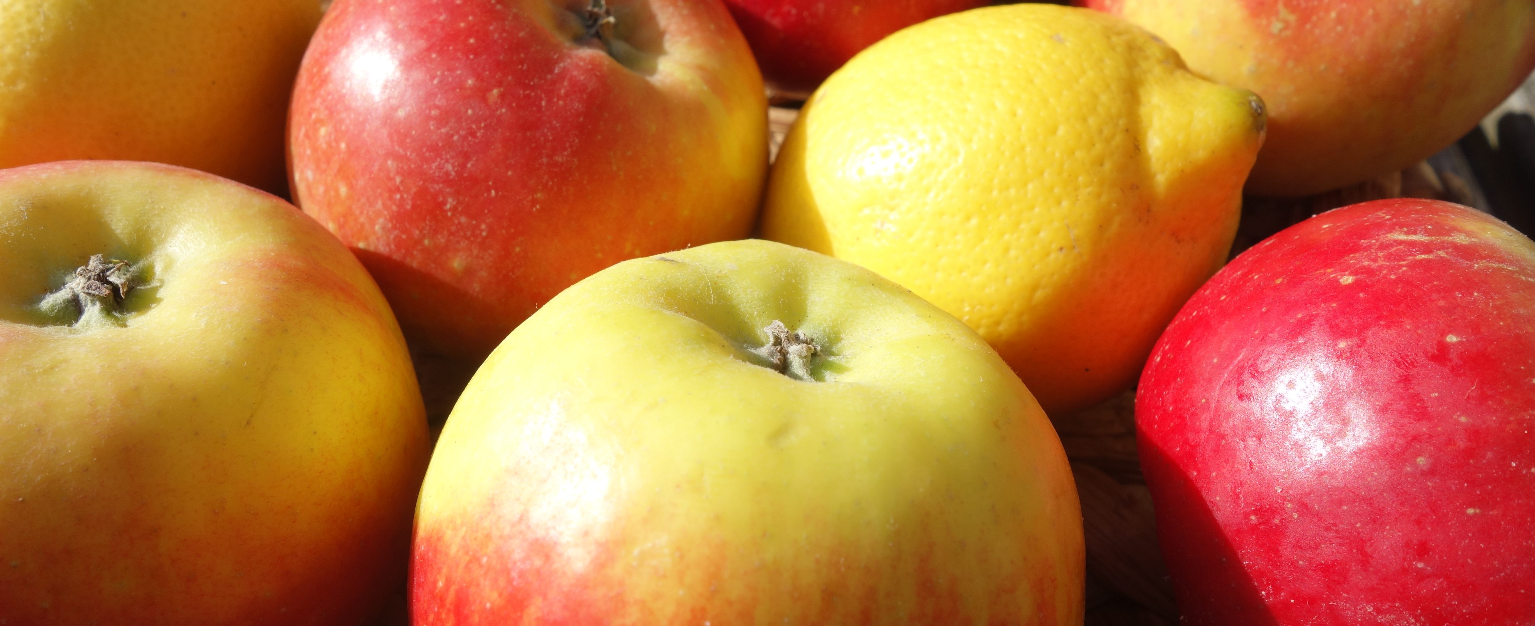 Fastenmethoden - Wohlfühlelemente